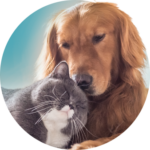 Welcome to The Humane Society for Hamilton County