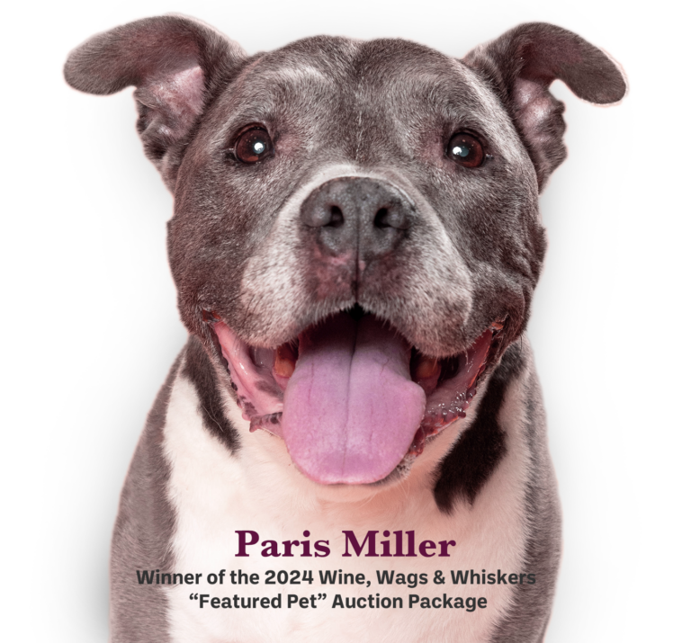 Welcome to The Humane Society for Hamilton County