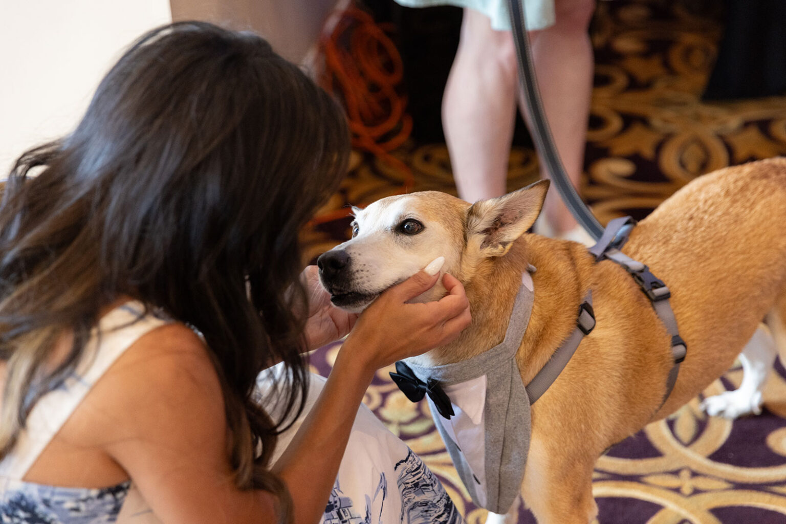 Wine, Wags & Whiskers