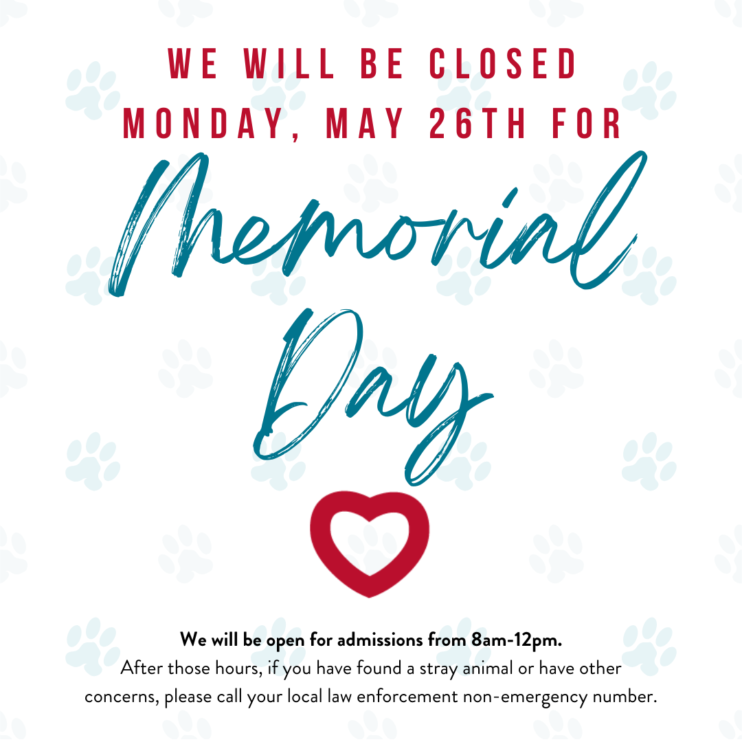 Adopt a Pet - The Humane Society for Hamilton County