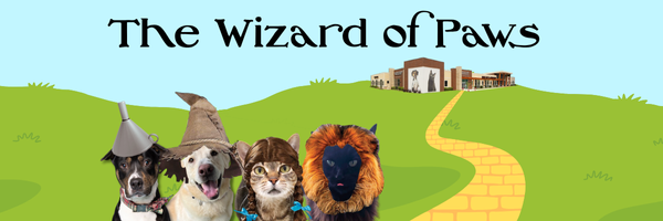 Adopt a Pet - The Humane Society for Hamilton County